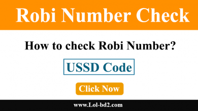 GP, Robi, Airtel, Banglalink, Teletalk Internet Balance Check (USSD Code)